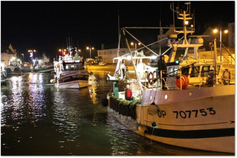 Retour de Pêche : Une nouvelle animation pour Port-en-Bessin-Huppain ! - Vudailleurs.com
